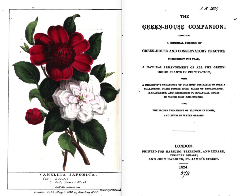 John Claudius Loudon…. and Greenhouse Technology | The Garden History Blog