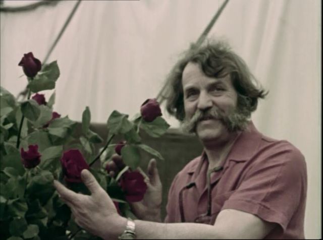 Harry Wheatcroft : the red rose grower | The Garden History Blog