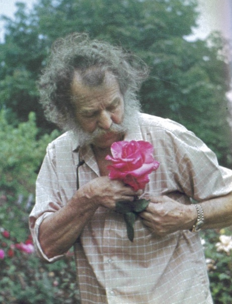 Harry Wheatcroft : the red rose grower | The Garden History Blog
