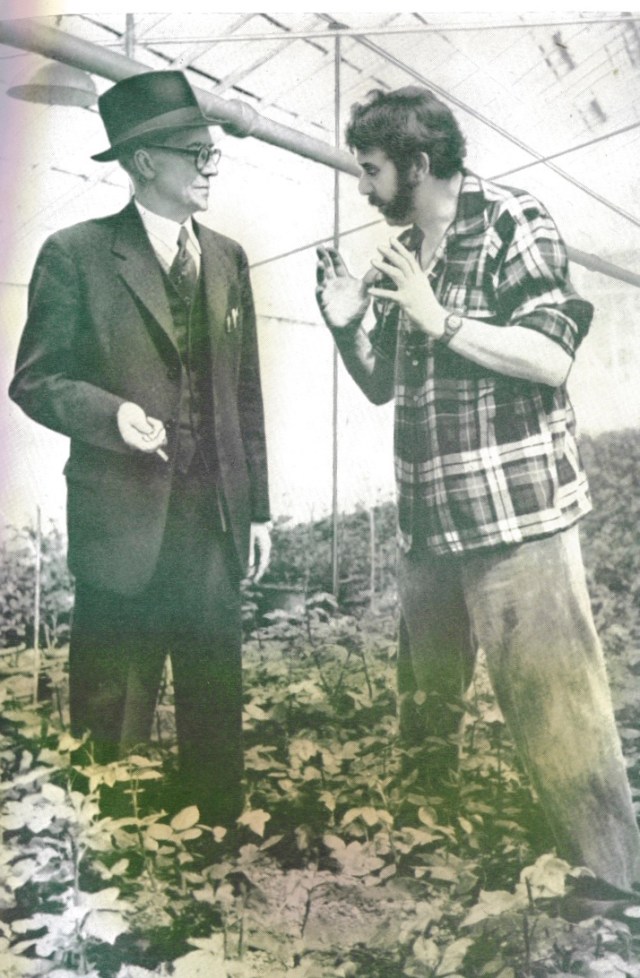 Harry Wheatcroft : the red rose grower | The Garden History Blog