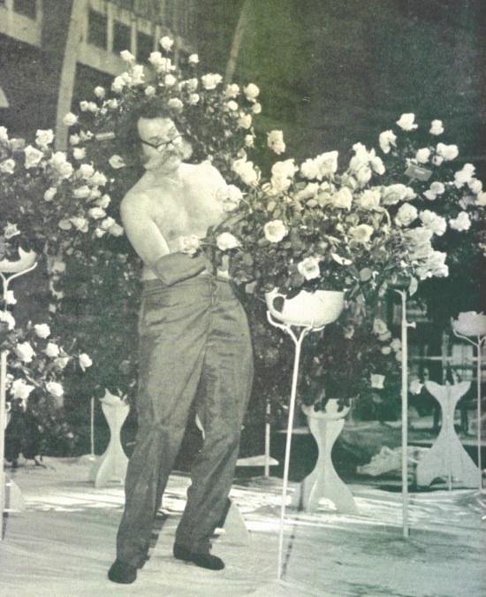 Harry Wheatcroft : the red rose grower | The Garden History Blog
