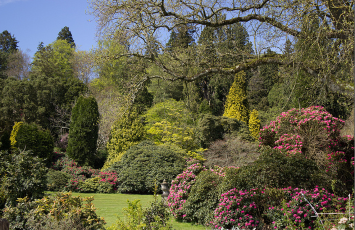Killerton | The Garden History Blog
