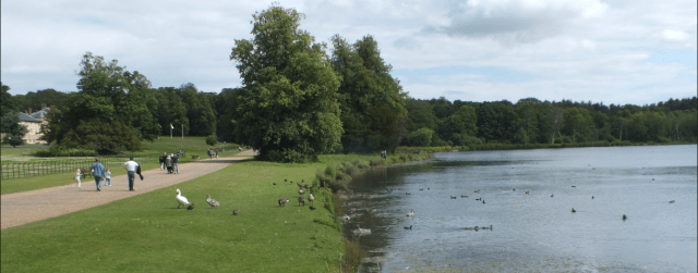 Hardwick Park – the Circuit Walk | The Garden History Blog