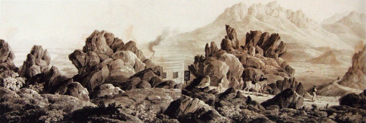 How Francis Masson found the world’s oldest pot plant…and a few other ...