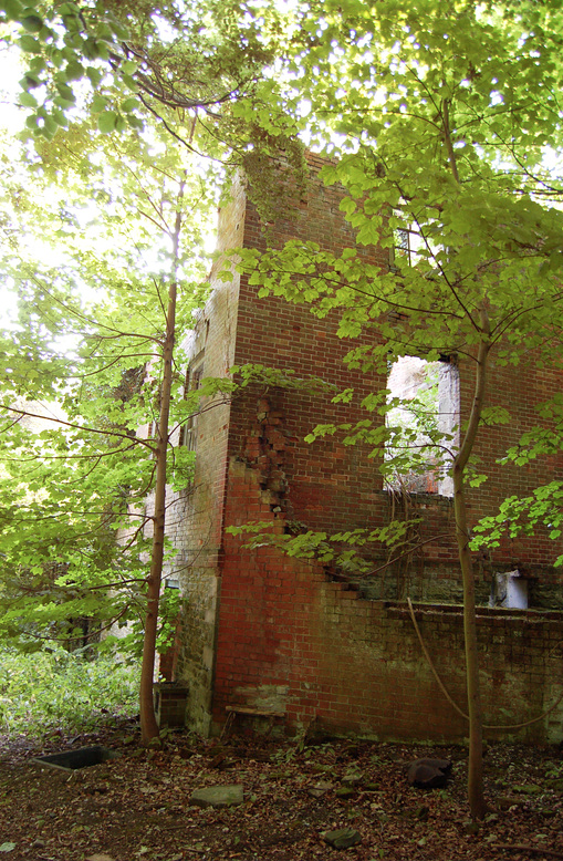 The Hanging Gardens of Stoke Edith | The Garden History Blog