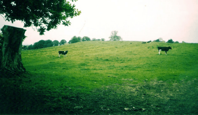 Nun Appleton | The Garden History Blog