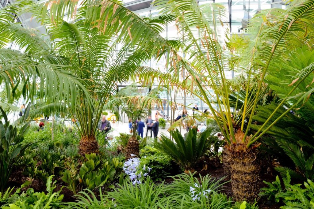 The Sky Garden | The Garden History Blog