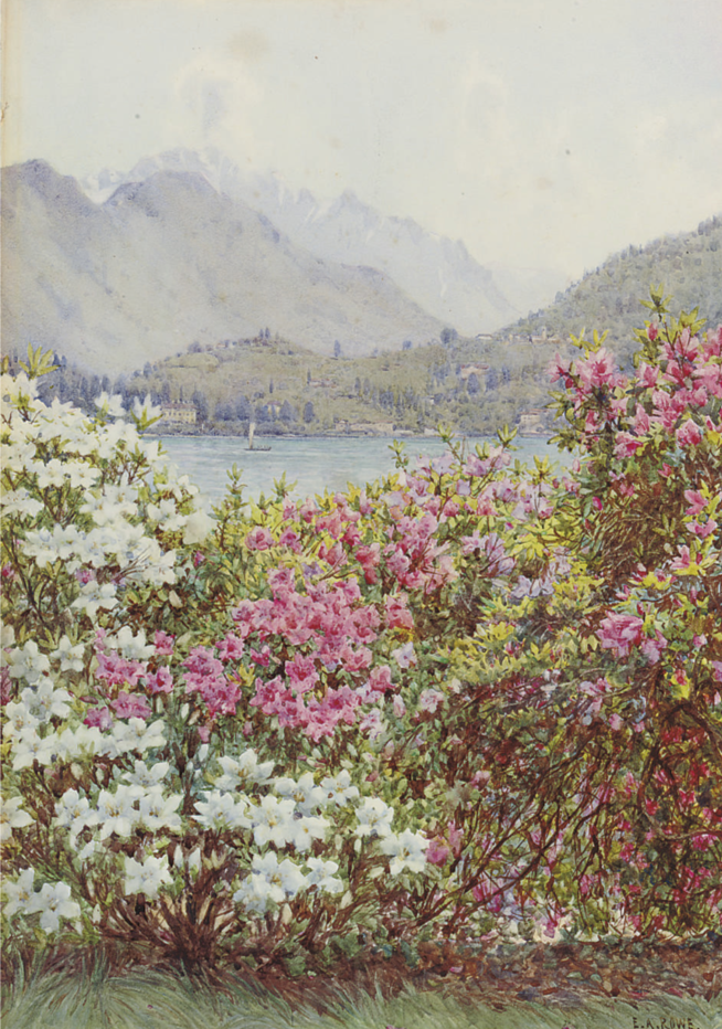 Ernest Arthur Rowe: Painting the Old English Garden | The Garden ...