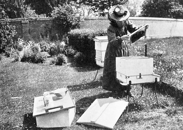 Ready to go Miss? | The Garden History Blog