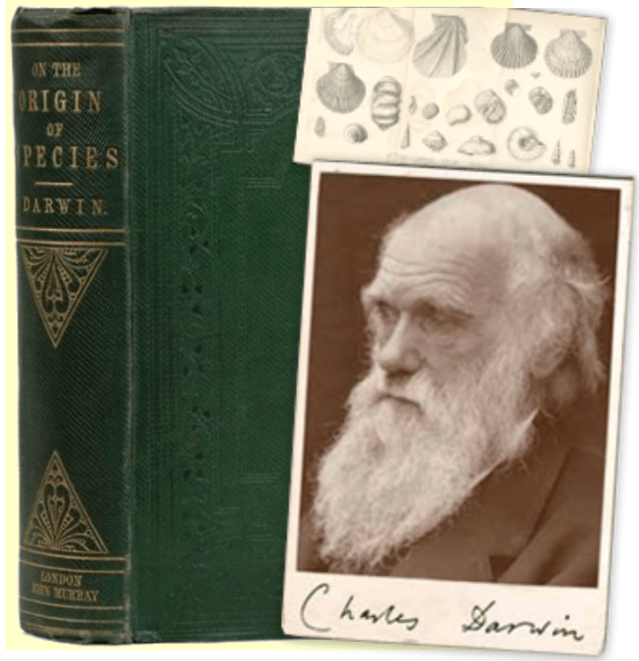 Orchids, Ferns, Fossils and the Great Flood | The Garden History Blog
