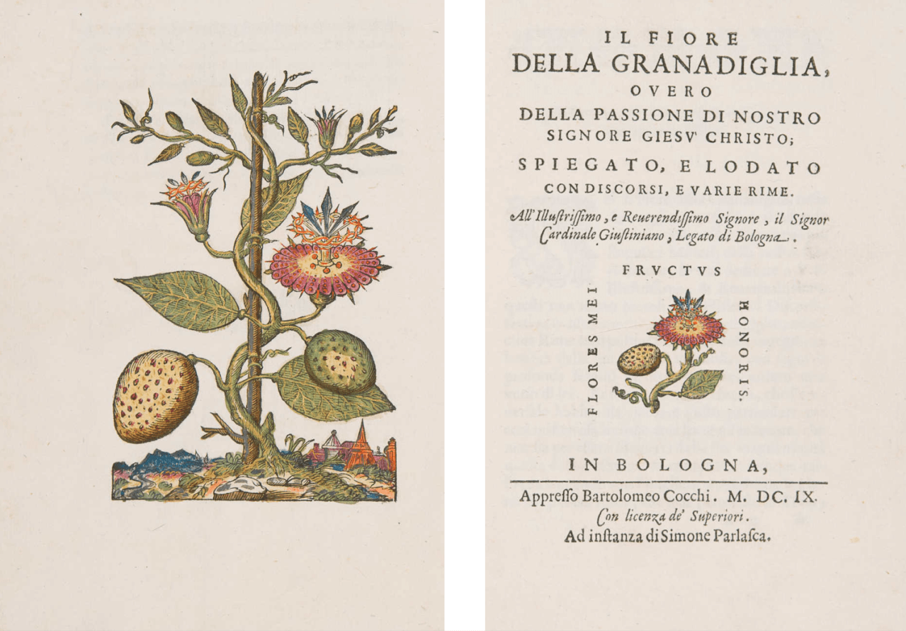 The Passion of Mary Lawrance | The Garden History Blog