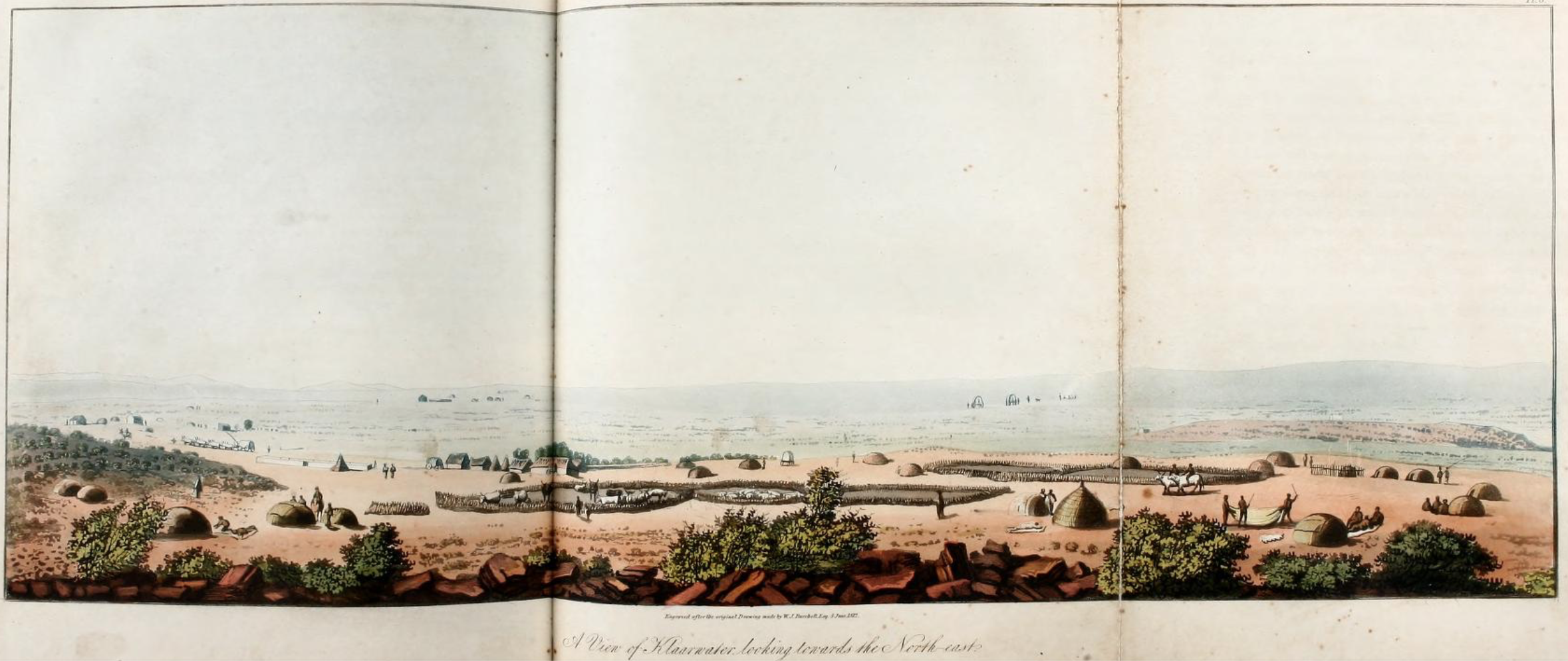 Burchell at the Cape | The Garden History Blog