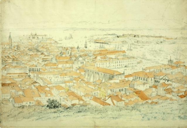 Burchell in Brazil | The Garden History Blog