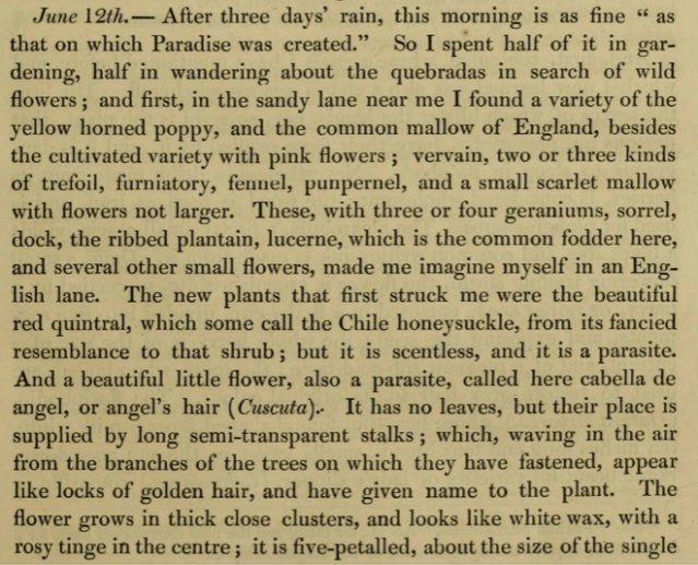 The adventures of Maria Graham | The Garden History Blog