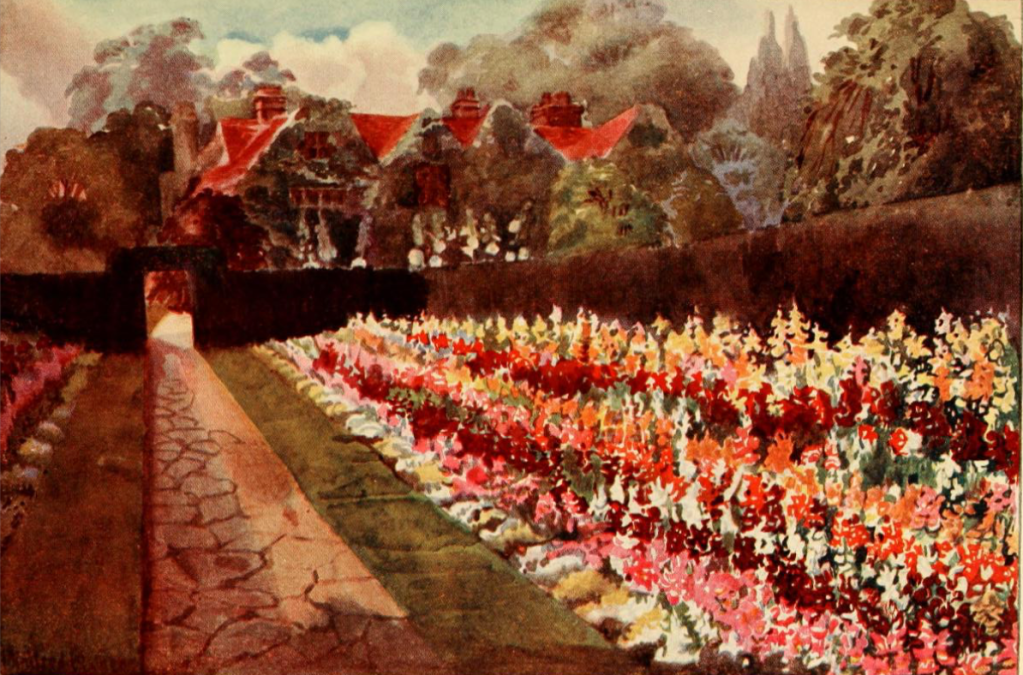 Winifred Walker: “The most famous of all flower painters” | The Garden ...