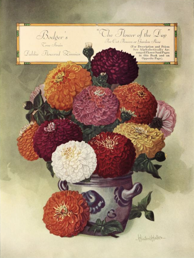 Winifred Walker: “The most famous of all flower painters” | The Garden ...