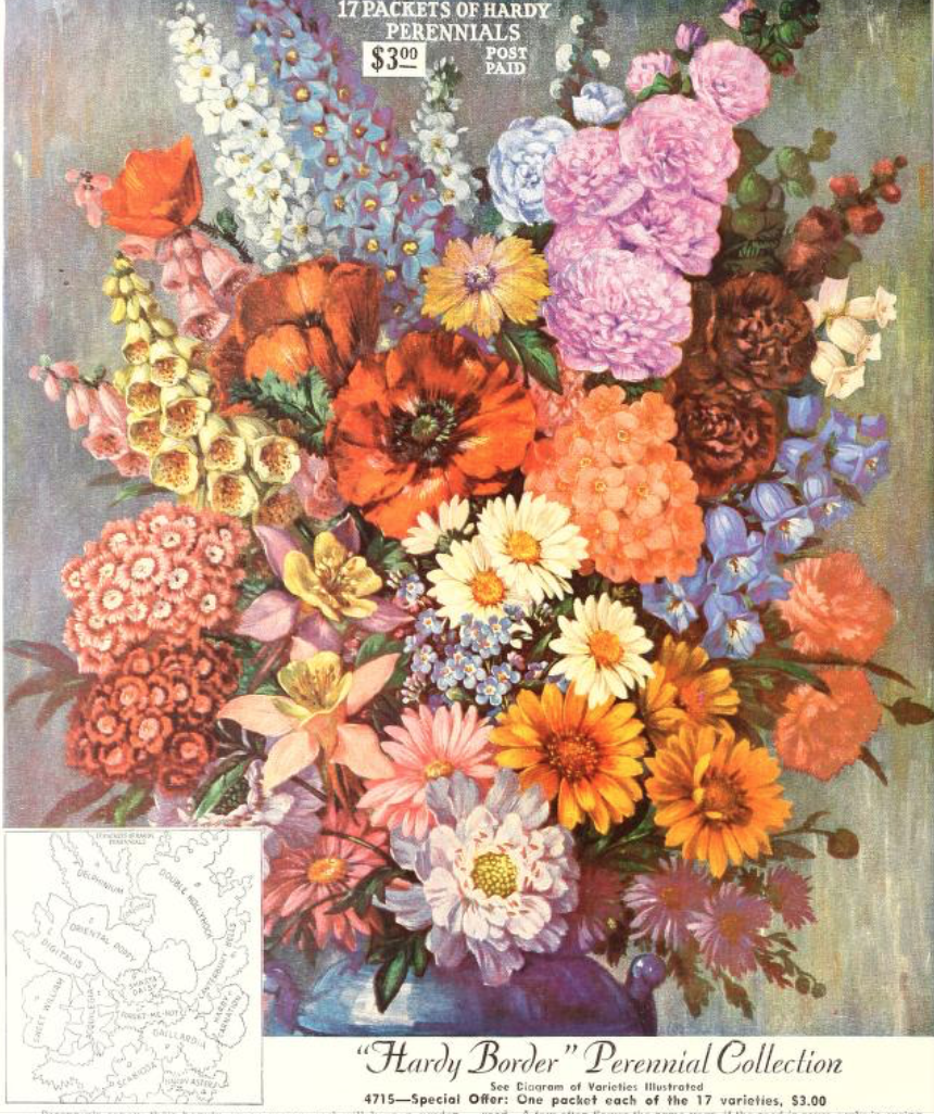 Winifred Walker: “The most famous of all flower painters” | The Garden ...