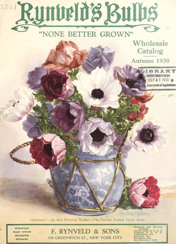 Winifred Walker: “The most famous of all flower painters” | The Garden ...