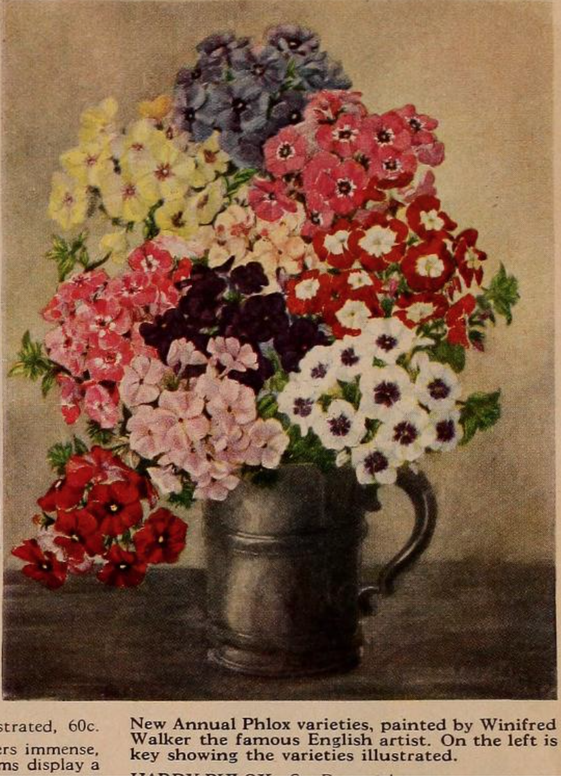 Winifred Walker: “The most famous of all flower painters” | The Garden ...