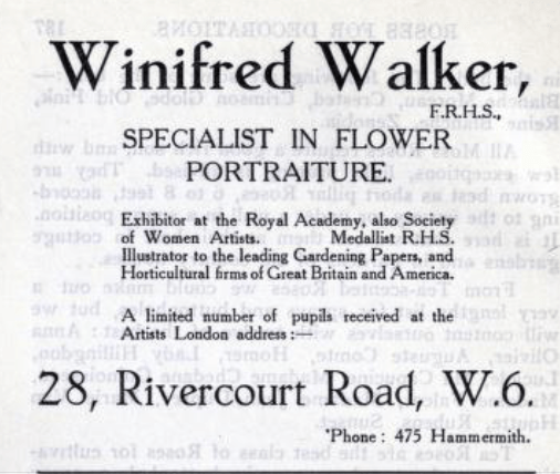 Winifred Walker: “The most famous of all flower painters” | The Garden ...