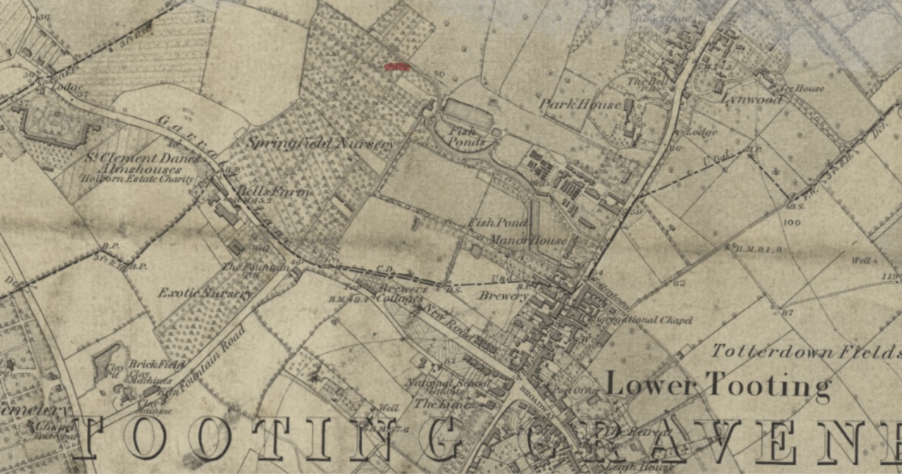 The Daffodil King of Tooting | The Garden History Blog