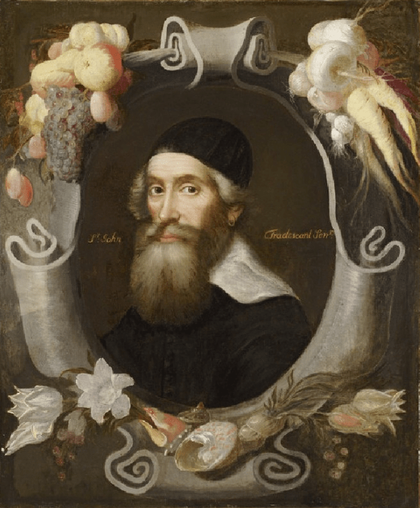 The Tradescants | The Garden History Blog