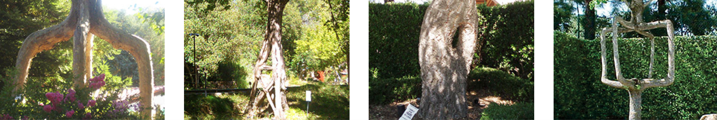 Growing a 4 Legged Giant | The Garden History Blog