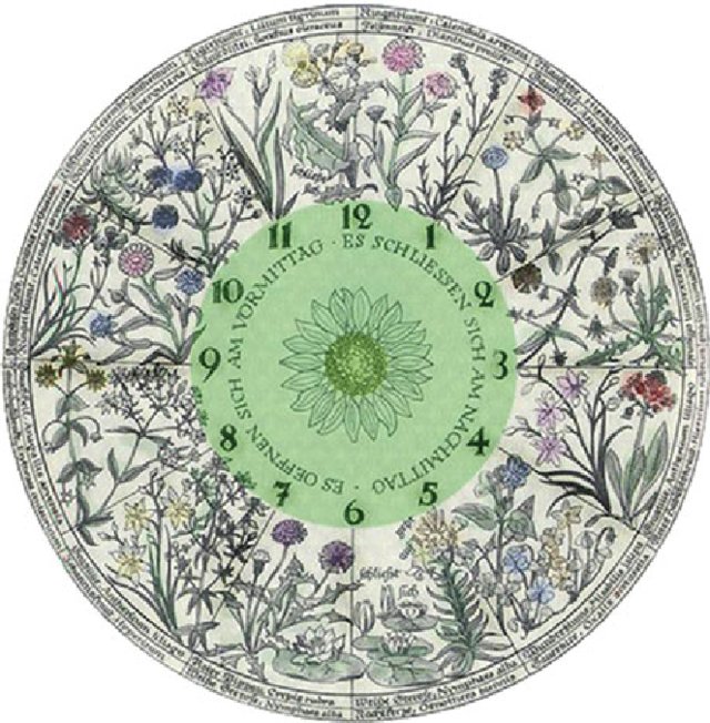 Floral Clocks | The Garden History Blog