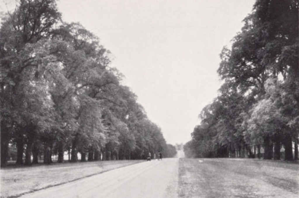 Acorns from the King: the rest of the story of Coronation Gardens | The ...