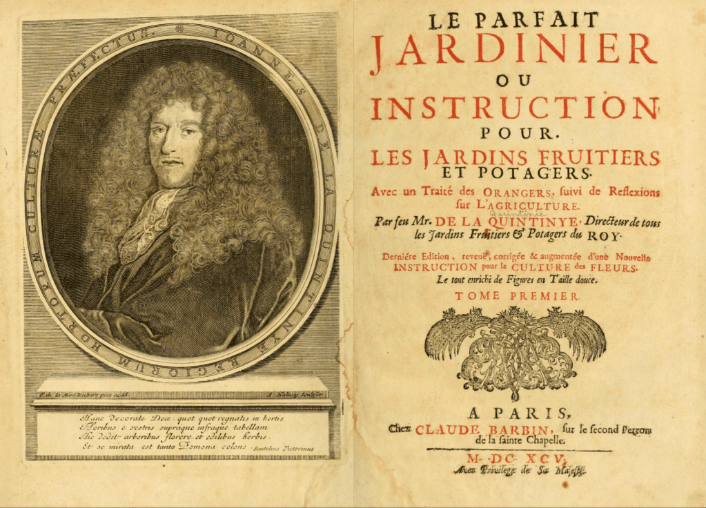 The Golden Oranges and Lemons of the Hesperides | The Garden History Blog