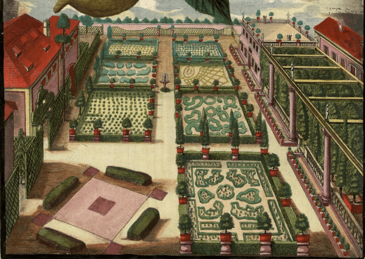 The Golden Oranges and Lemons of the Hesperides | The Garden History Blog