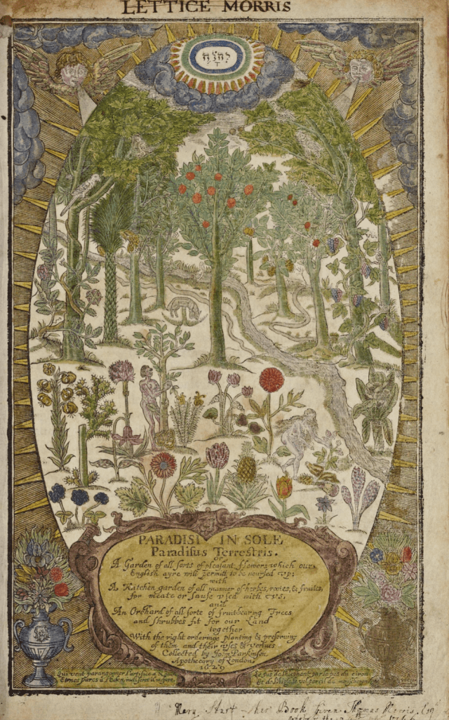 John Parkinson and his earthly paradise | The Garden History Blog