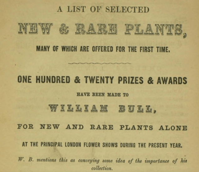 William Bull – Horticulture in Excelsis | The Garden History Blog