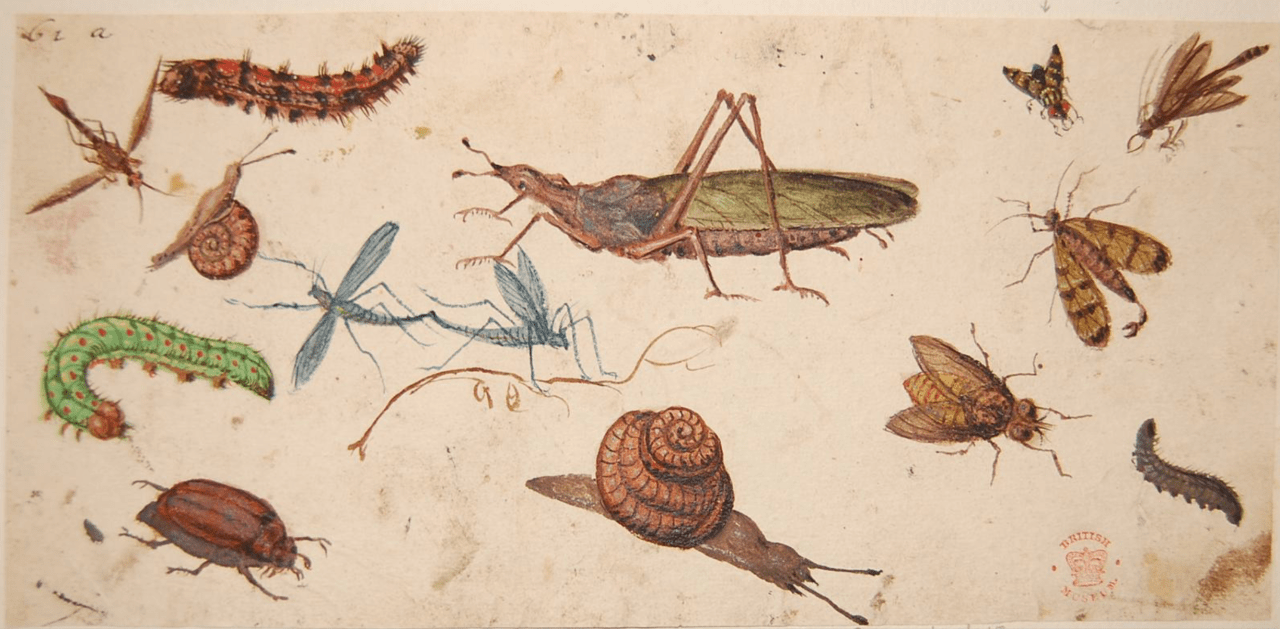 Death to the Pests! | The Garden History Blog