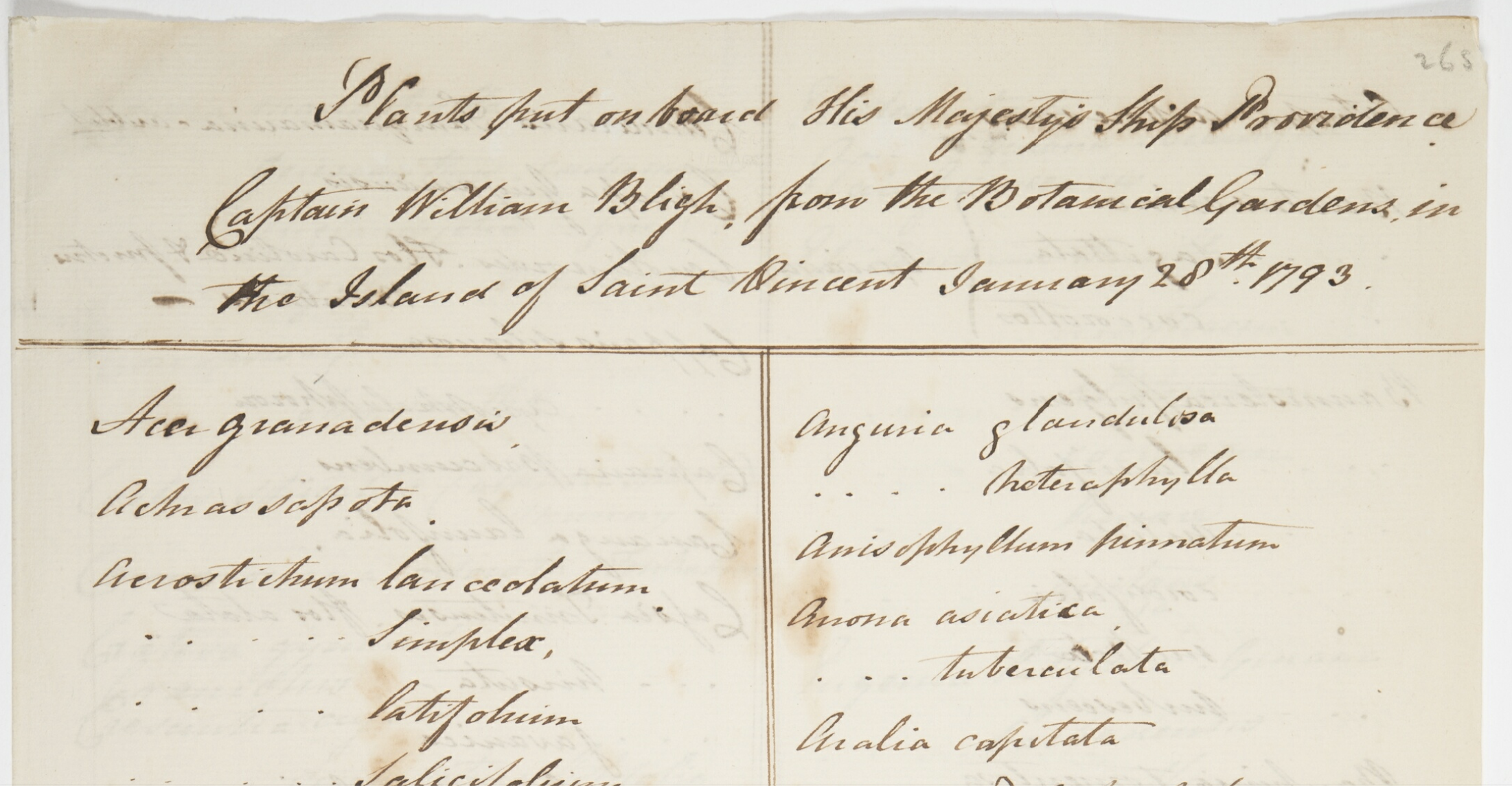 Captain Bligh, the Breadfruit and two Nelsons. | The Garden History Blog