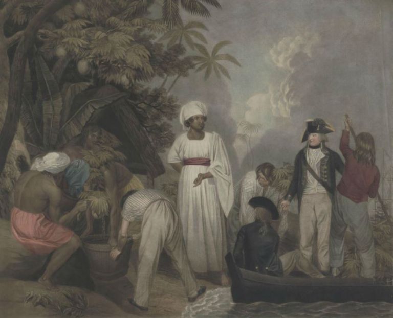 Captain Bligh, the Breadfruit and two Nelsons. | The Garden History Blog