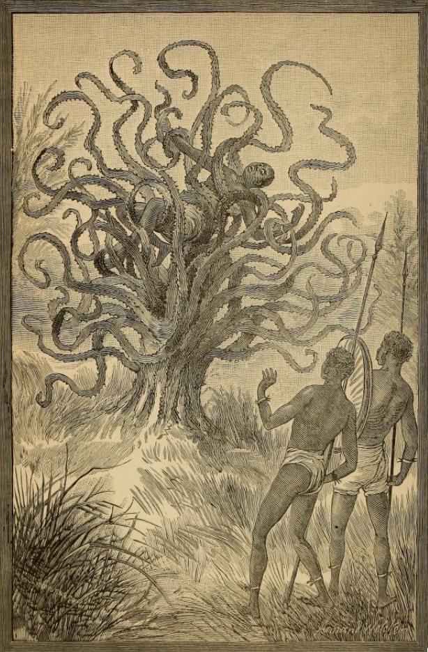 Dr Darwin and The Man-Eating Tree of Madagascar | The Garden History Blog