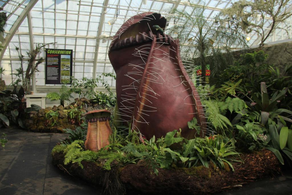 More Monster Plants | The Garden History Blog