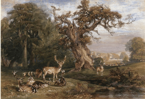 William Nesfield: soldier, artist & landscape designer | The Garden ...