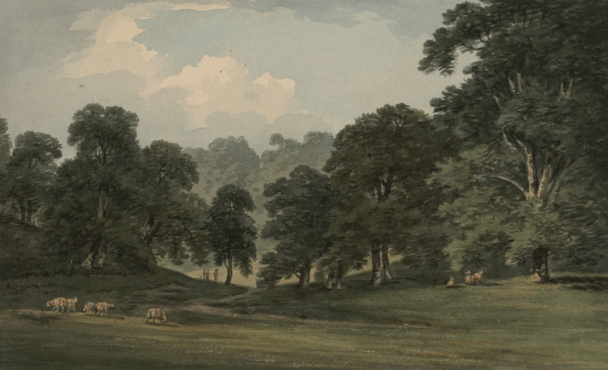 From the Beautiful to the Sublime | The Garden History Blog