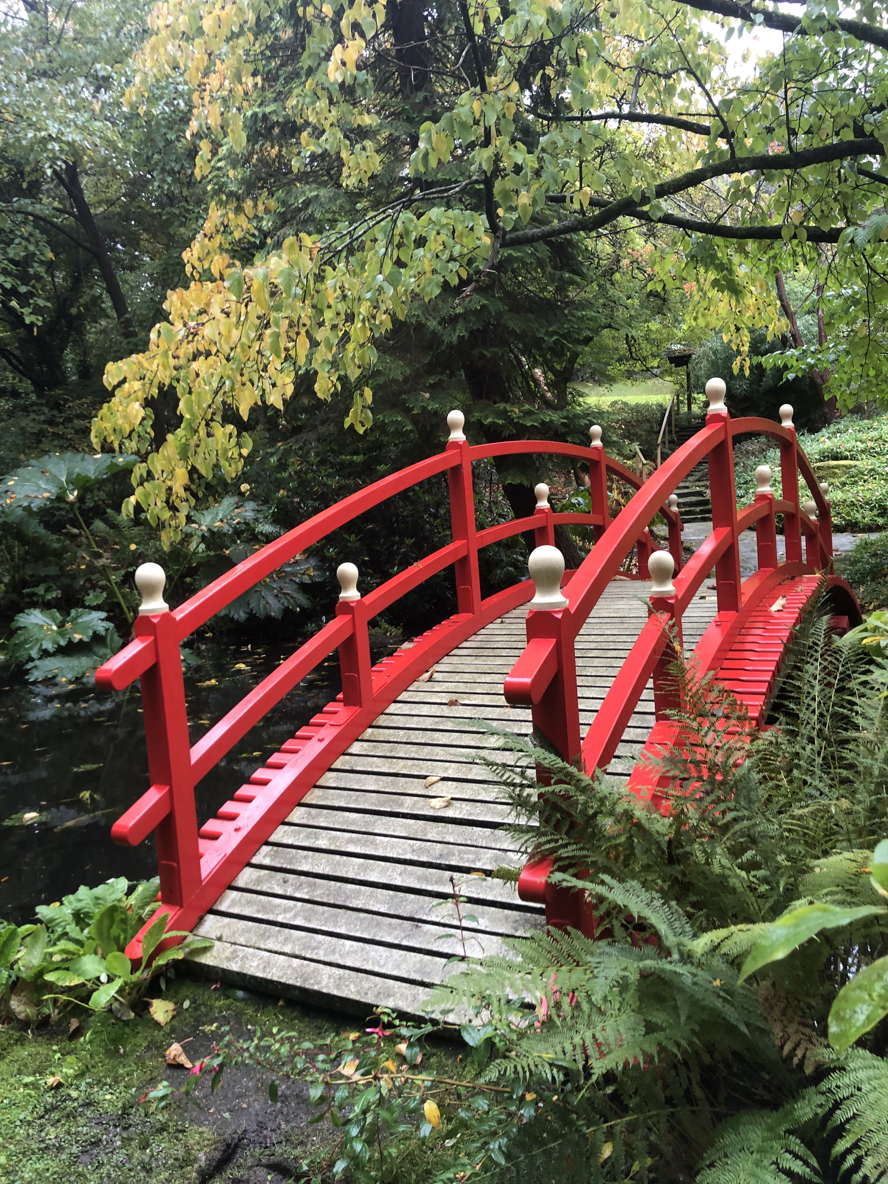 The Water Gardens and Coombe Wood Nursery | The Garden History Blog
