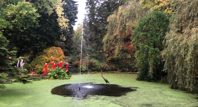 The Water Gardens and Coombe Wood Nursery | The Garden History Blog