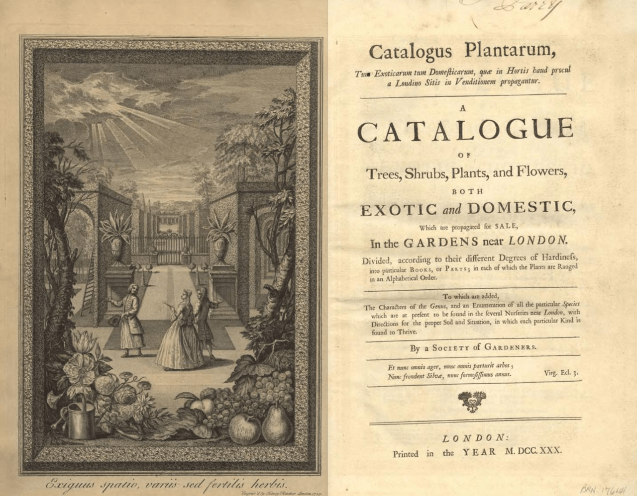 Philip Miller and his Gardener’s Dictionary | The Garden History Blog