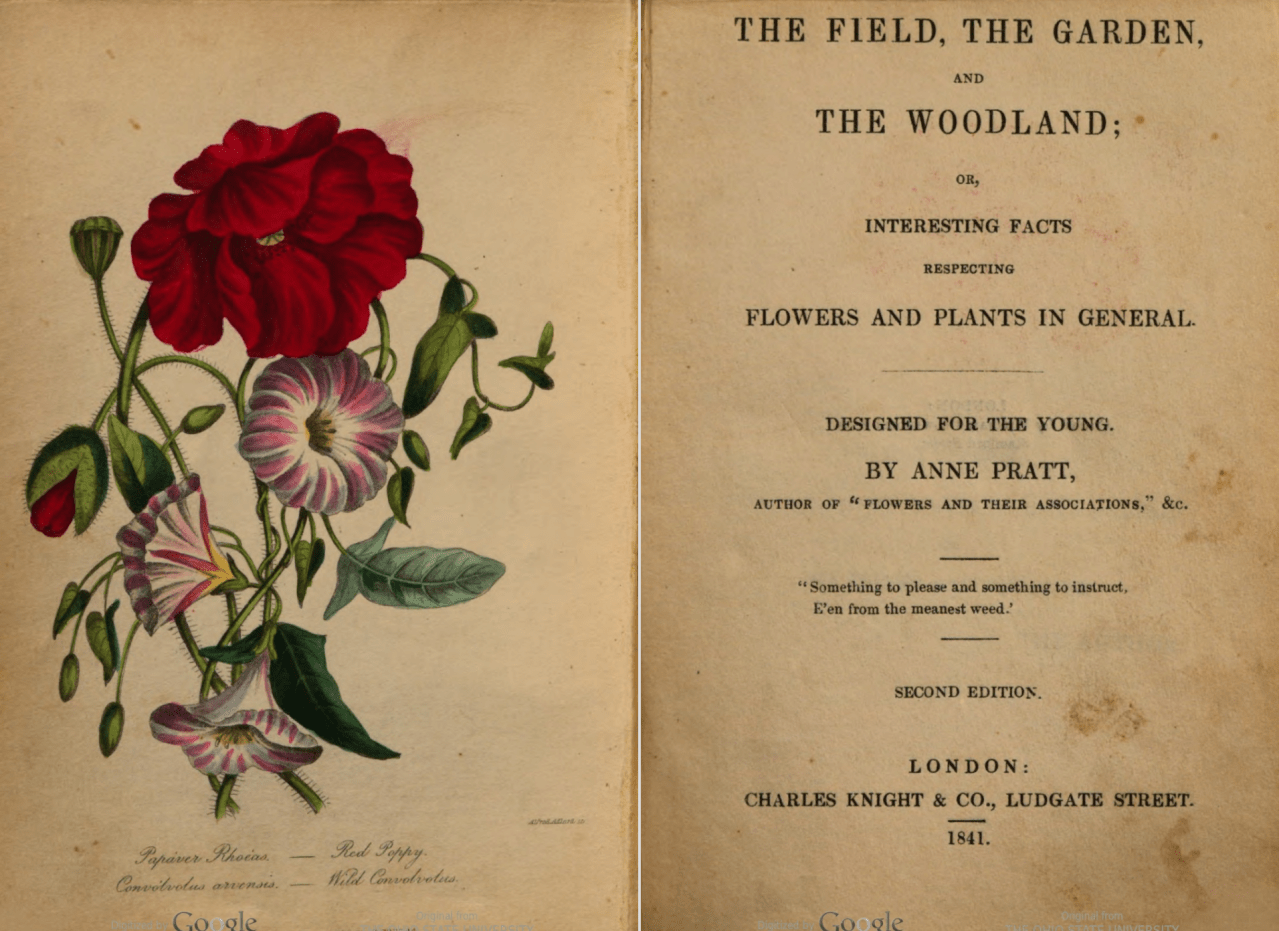 Anne Pratt : “the popular writer on botany” | The Garden History Blog