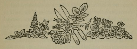 Reginald Arkell and Old Herbaceous | The Garden History Blog